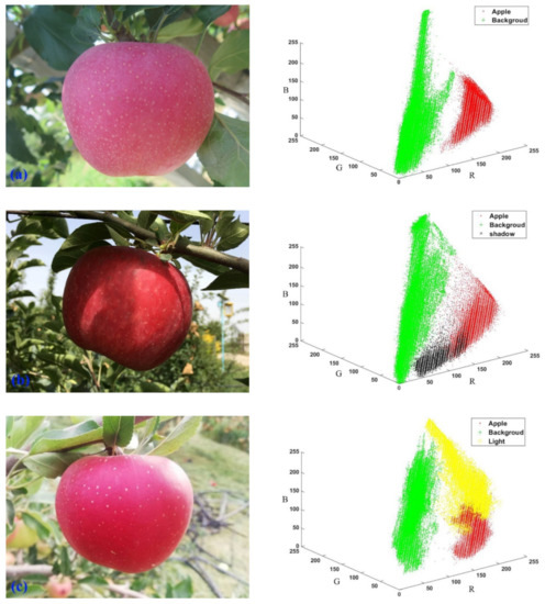 Multi-Feature Patch-Based Segmentation Technique in the Gray-Centered RGB Color Space for ...