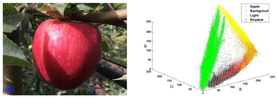 Multi-Feature Patch-Based Segmentation Technique in the Gray-Centered RGB Color Space for ...