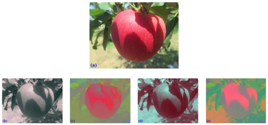 Multi-Feature Patch-Based Segmentation Technique in the Gray-Centered RGB Color Space for ...