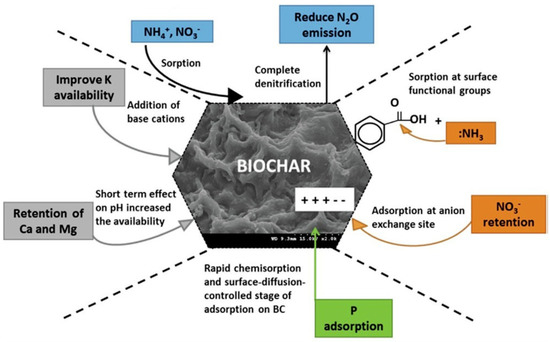 Biochar with Alternate Wetting and Drying Irrigation: A Potential Technique for Paddy Soil ...