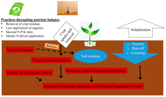 Agriculture | Free Full-Text | Connecting Bio-Priming Approach with Integrated Nutrient ...