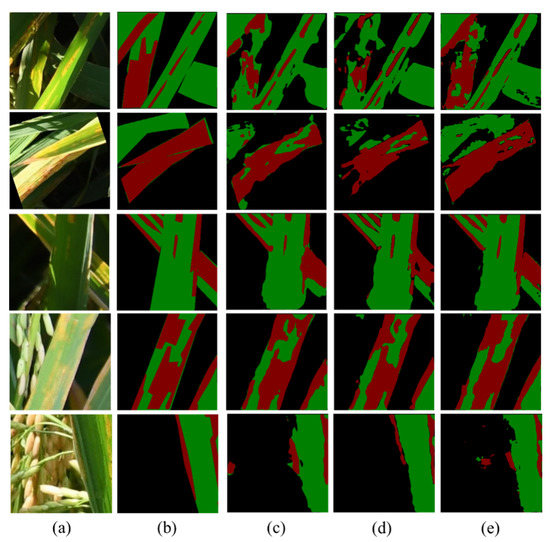 An Approach for Rice Bacterial Leaf Streak Disease Segmentation and ...