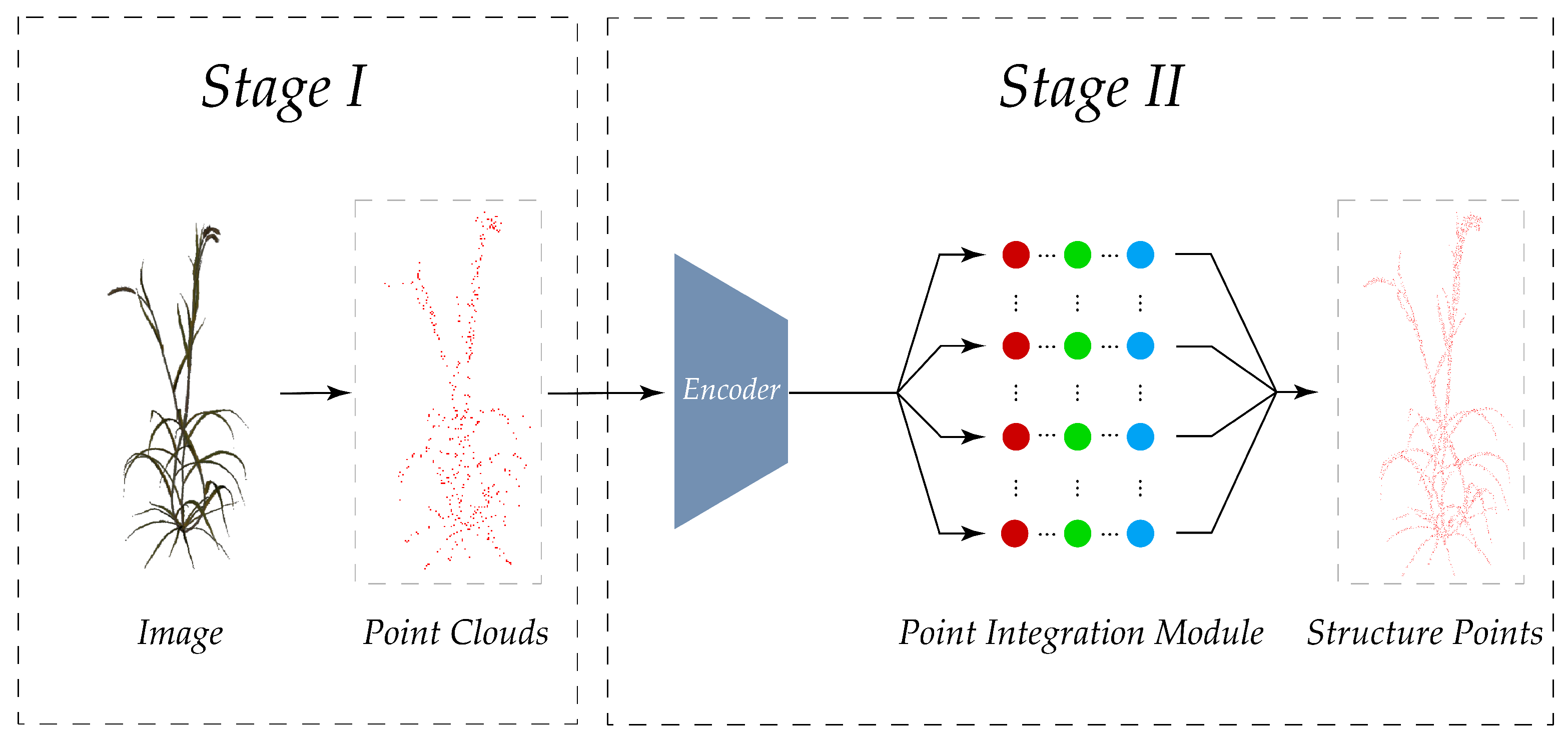 3D Point Cloud on Semantic Information for Wheat Reconstruction