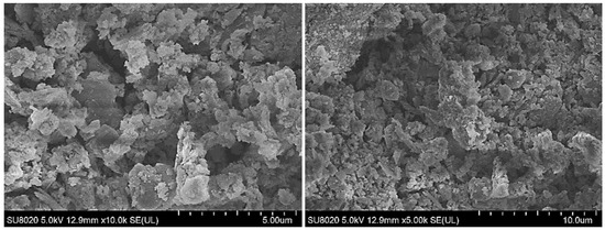Biochar Improves Sustainability of Green Roofs via Regulate of Soil ...