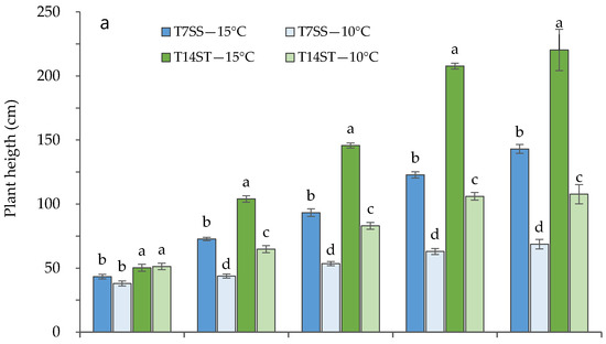 Factors Affecting Tolerance to Low Night Temperature Differ by Fruit ...