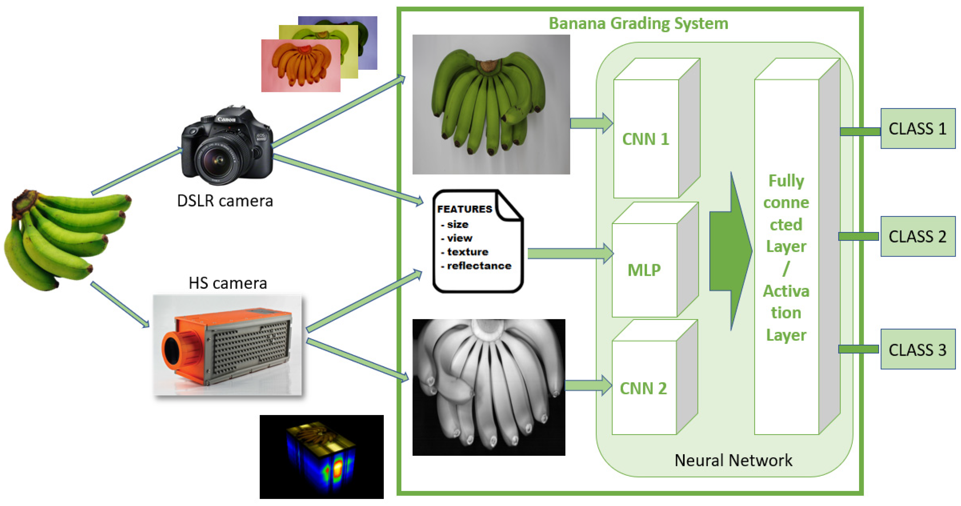 Multi-Input Deep Learning Model with RGB and Hyperspectral Imaging for ...
