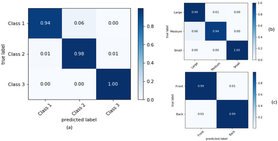 Multi-Input Deep Learning Model with RGB and Hyperspectral Imaging for Banana Grading