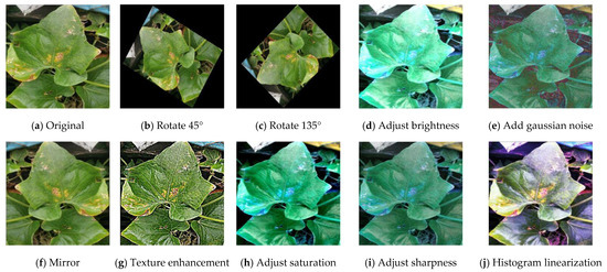 Review on Convolutional Neural Network (CNN) Applied to Plant Leaf ...