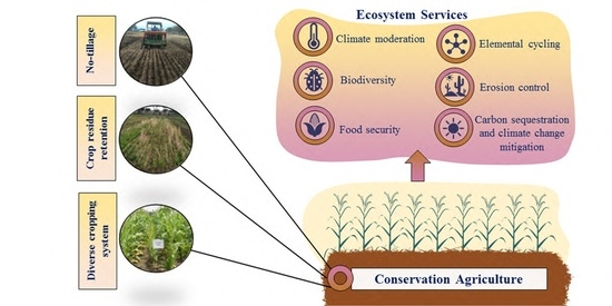 Agriculture | Free Full-Text | Conservation Agriculture as a System to ...