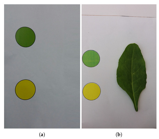 A Computer-Vision-Based Approach for Nitrogen Content Estimation in ...