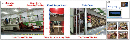 Agriculture | Free Full-Text | Coupled Bionic Design Based on Primnoa ...