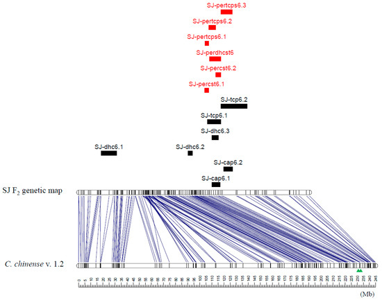 Breeding Capsicum chinense Lines with High Levels of Capsaicinoids and ...