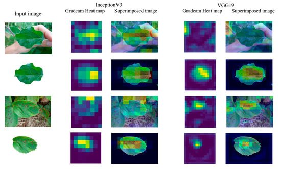 Impacts of Background Removal on Convolutional Neural Networks for ...