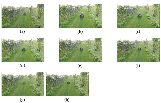 Autonomous and Safe Navigation of Mobile Robots in Vineyard with Smooth Collision Avoidance