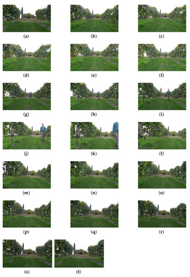 Autonomous and Safe Navigation of Mobile Robots in Vineyard with Smooth Collision Avoidance
