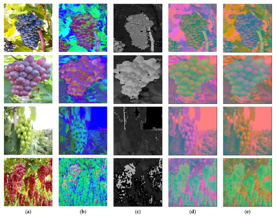 Agriculture | Free Full-Text | A Comparative Study of Semantic ...