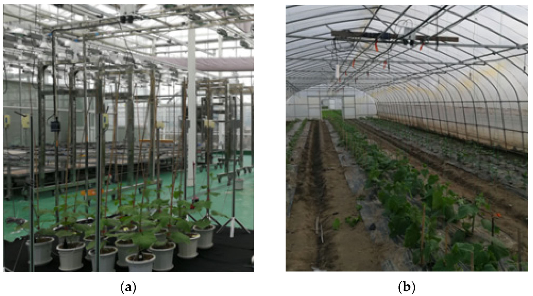 Counting Dense Leaves under Natural Environments via an Improved Deep ...