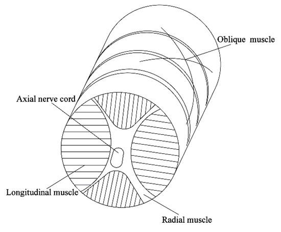 An Octopus-Inspired Bionic Flexible Gripper for Apple Grasping