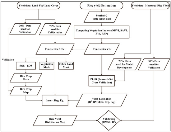 Estimation and Forecasting of Rice Yield Using Phenology-Based ...