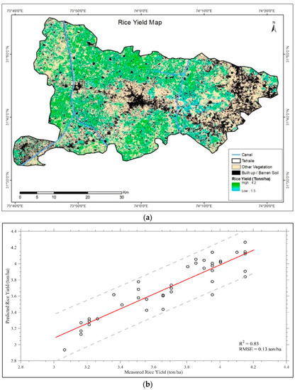 Estimation And Forecasting Of Rice Yield Using Phenology Based Algorithm And Linear Regression