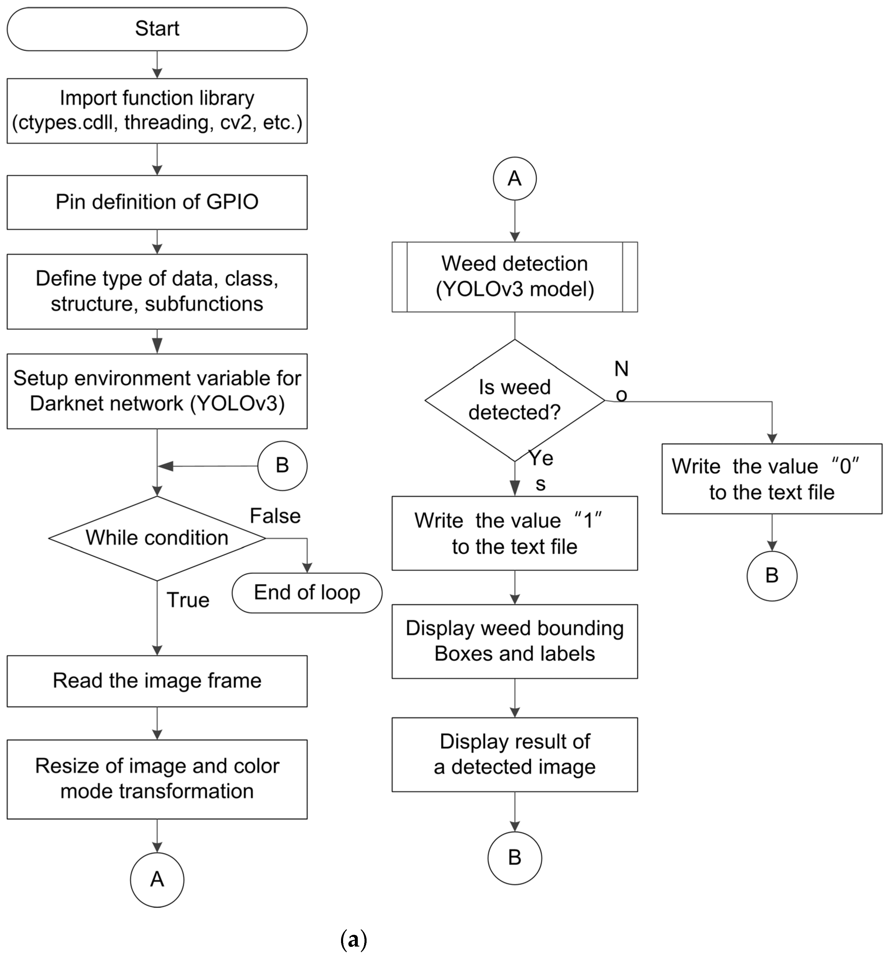 Mechanical Control with a Deep Learning Method for Precise Weeding on a ...