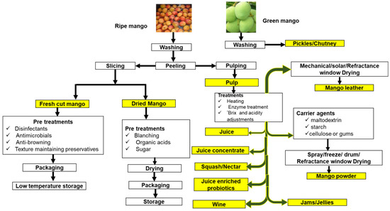 Mango Fruit Processing: Options for Small-Scale Processors in ...
