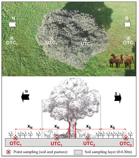 Agriculture | Free Full-Text | Floristic Composition: Dynamic ...