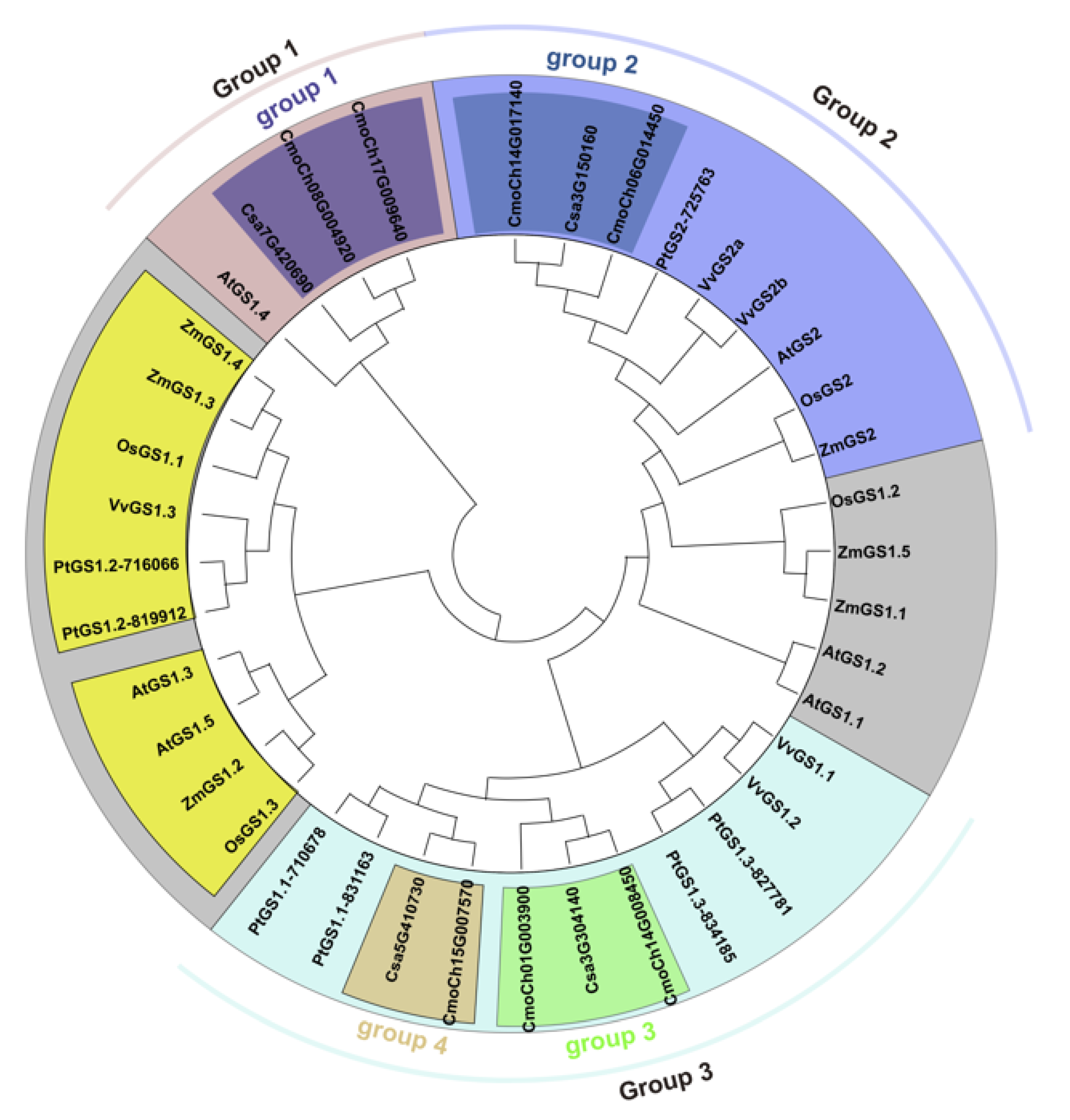 Agriculture | Free Full-Text | Genome-Wide Characterization of ...