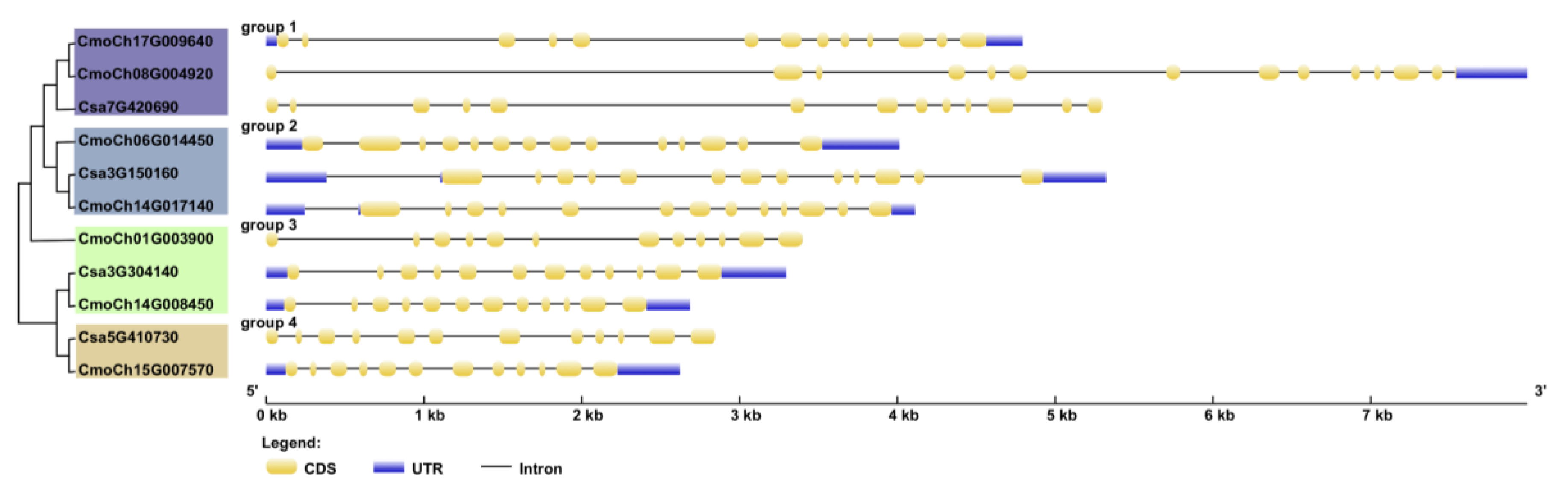 Genome-Wide Characterization of Glutamine Synthetase Family Genes in ...