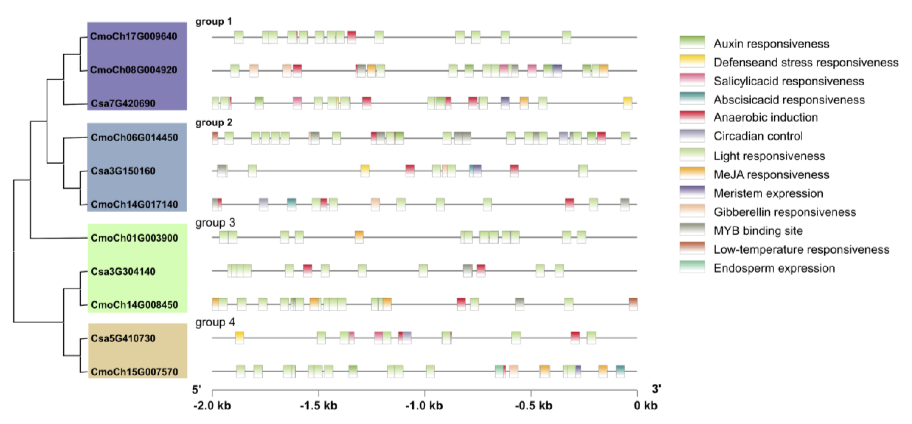 Genome-Wide Characterization of Glutamine Synthetase Family Genes in ...
