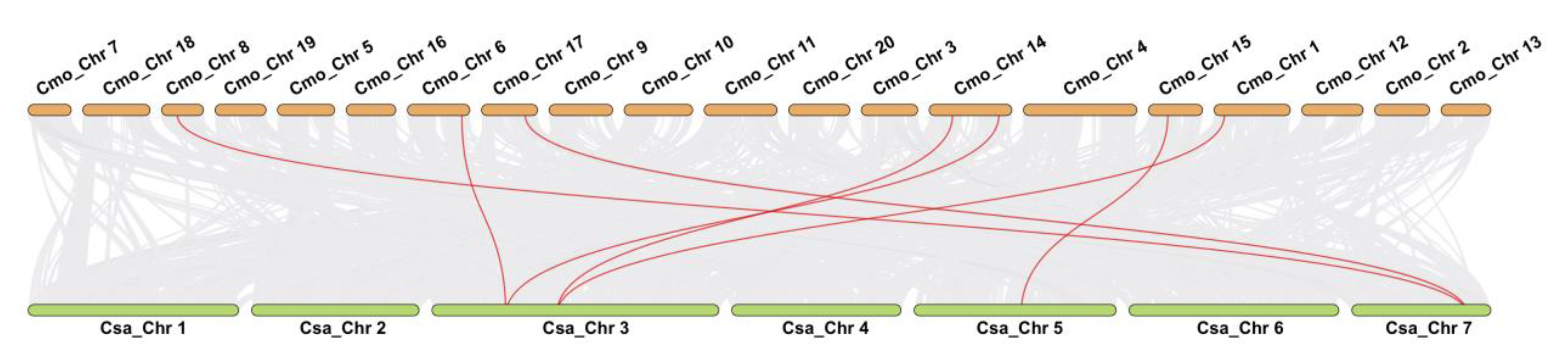 Genome-Wide Characterization of Glutamine Synthetase Family Genes in ...