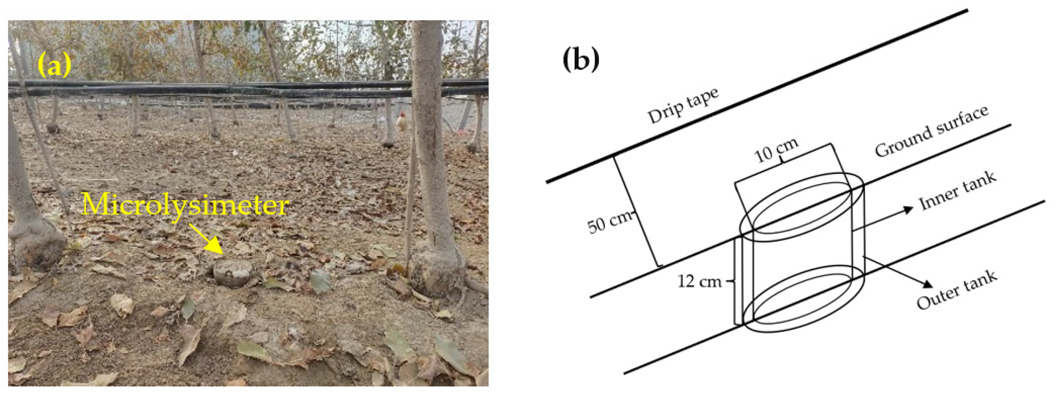 Agriculture | Free Full-Text | Evapotranspiration Partition and Dual ...