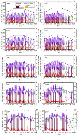 Evapotranspiration Partition and Dual Crop Coefficients in Apple ...