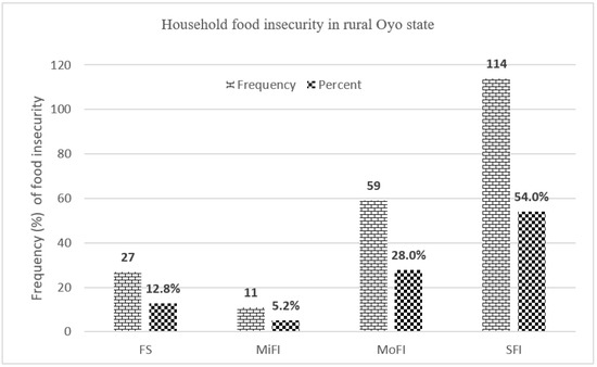 Assessing Food Insecurity and Its Drivers among Smallholder Farming ...