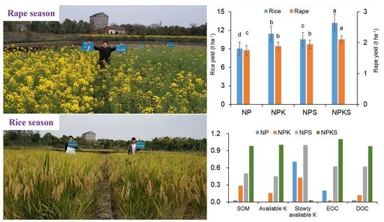 Agriculture | Free Full-Text | Effects of Long-Term Straw Management ...