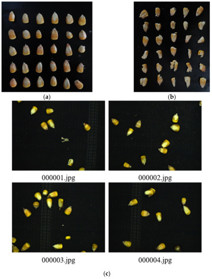 Agriculture | Free Full-Text | Design and Experiment of a Broken Corn ...