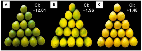 Physiological Quality of Swingle Citrumelo Seed after Refrigerated ...