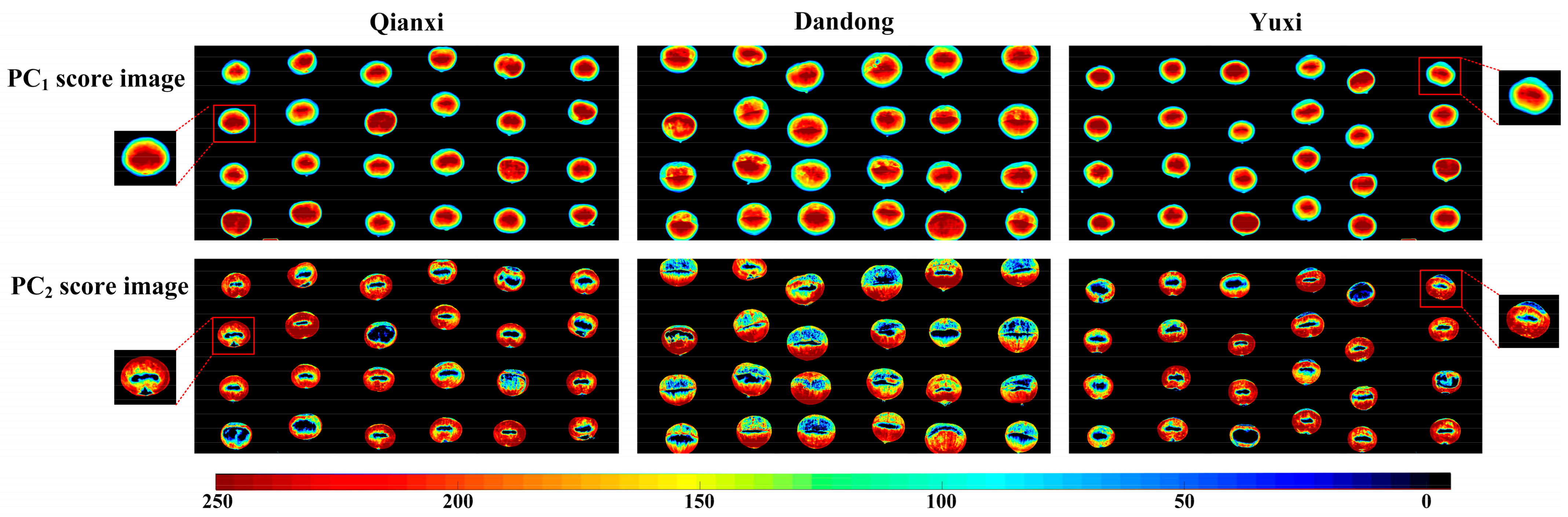 Agriculture | Free Full-Text | Identification of Geographical Origin of ...