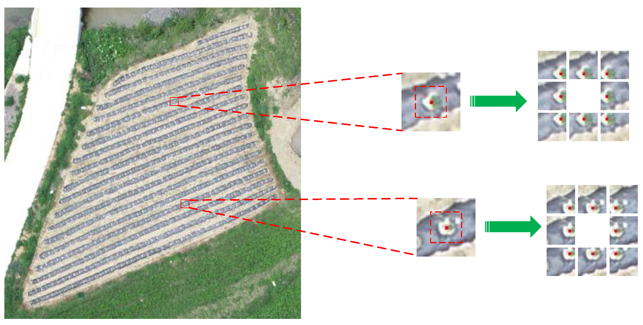 Seeding Crop Detection Framework Using Prototypical Network Method in ...