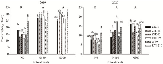 Root System Architecture Differences of Maize Cultivars Affect Yield ...