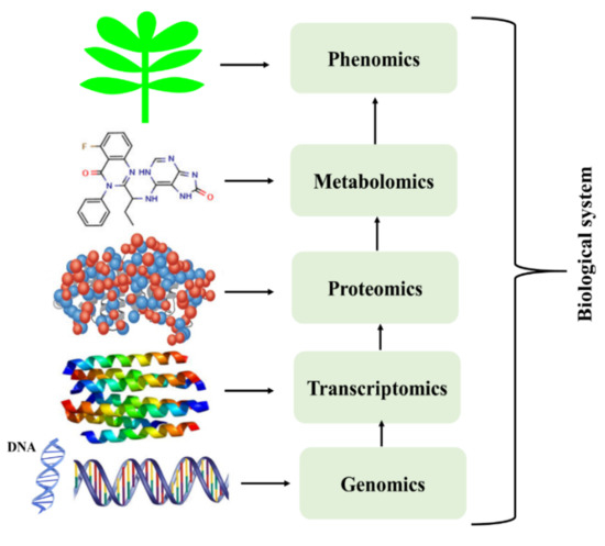 Exploring the Adaptive Responses of Plants to Abiotic Stresses Using ...