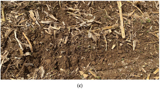 Design and Experiment of a Reciprocating Intermittent Chopping Device ...