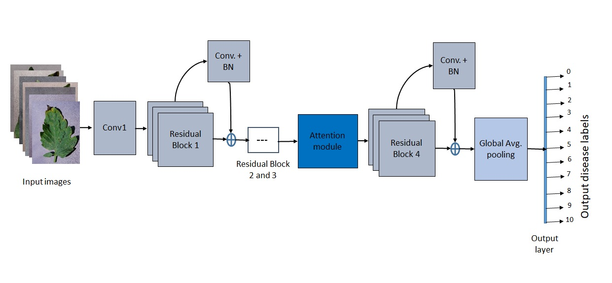Agriculture | Free Full-Text | A Lightweight Attention-Based ...