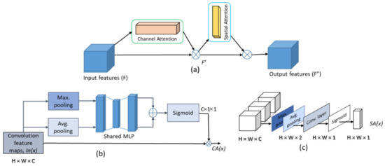 A Lightweight Attention-Based Convolutional Neural Networks for Tomato ...