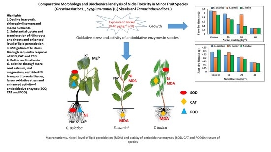 Agriculture | Special Issue : Understanding and Improving Crop ...