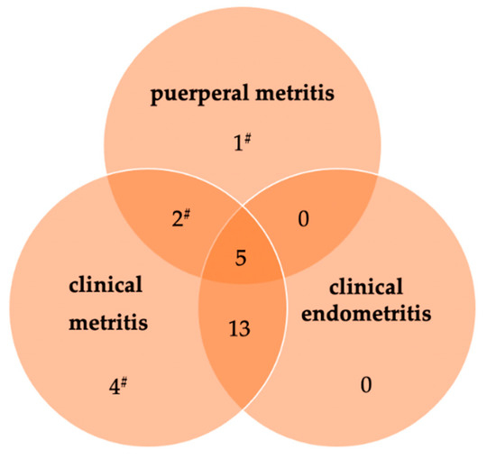 Vaginal and Uterine Microbiomes during Puerperium in Dairy Cows