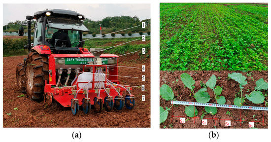 Seeding Performance Caused by Inclination Angle in a Centralized Seed ...