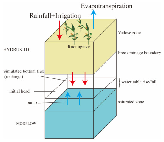 Zone Of Soil Moisture
