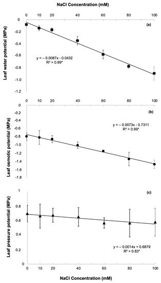 Stomatal Regulation and Osmotic Adjustment in Sorghum in Response to ...