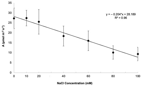 Stomatal Regulation and Osmotic Adjustment in Sorghum in Response to ...